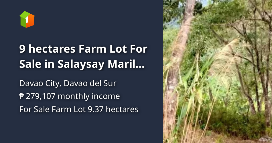 9 hectares Farm Lot For Sale in Salaysay Marilog Davao City [Lots 🚜 ...