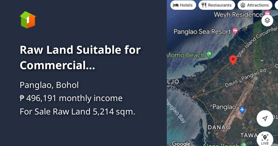 Raw Land Suitable for Commercial Development For Sale in Panglao Bohol ...