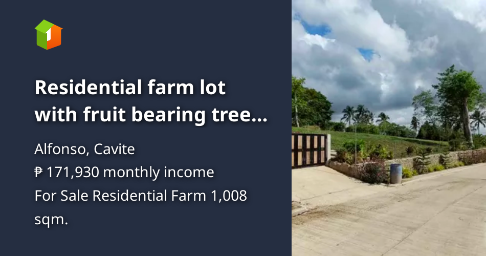 Residential farm lot with fruit bearing trees -investment -retirement ...