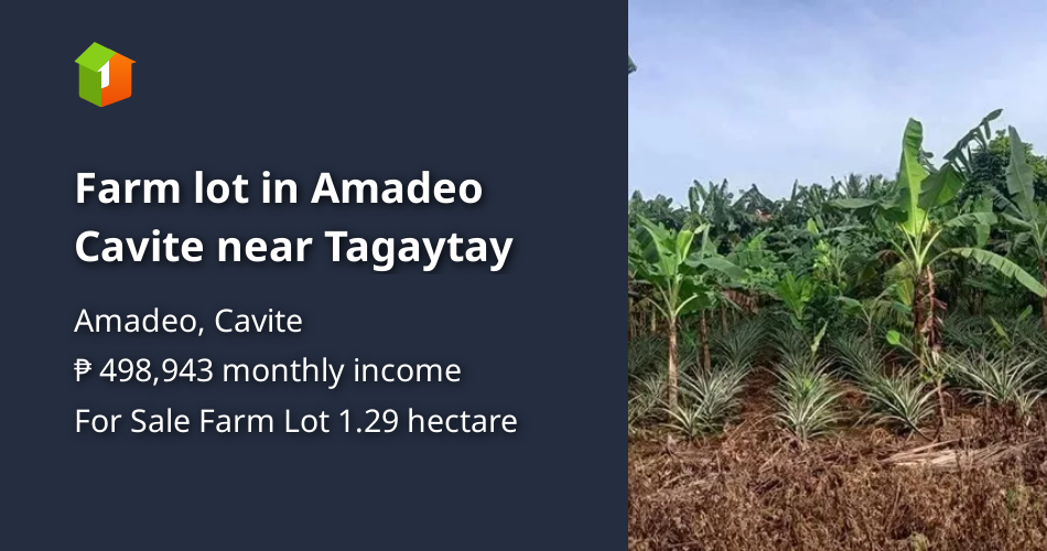 Farm lot in Amadeo Cavite near Tagaytay [Lots 🚜] (June 2025) in Amadeo ...