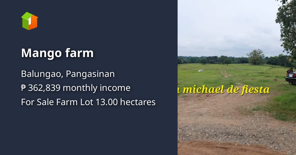 Mango farm [Lots 🚜] (May 2024) in Balungao, Pangasinan for sale