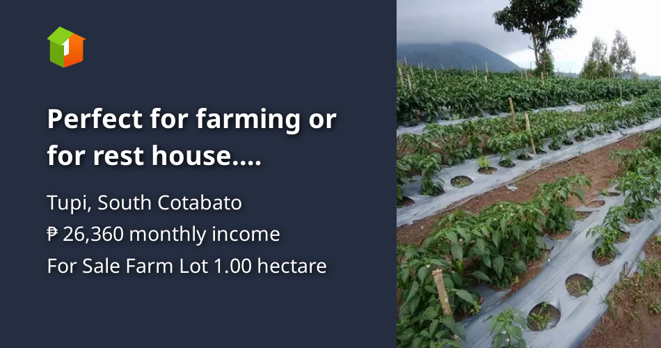 Perfect for farming or for rest house. Overlooking Mount Matutum [Lots ...