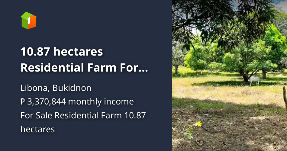 10.87 hectares Residential Farm For Sale in Gango, Libona Bukidnon ...