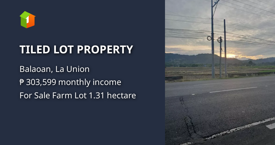 TILED LOT PROPERTY [Lots 🚜] (June 2024) in Balaoan, La Union for sale