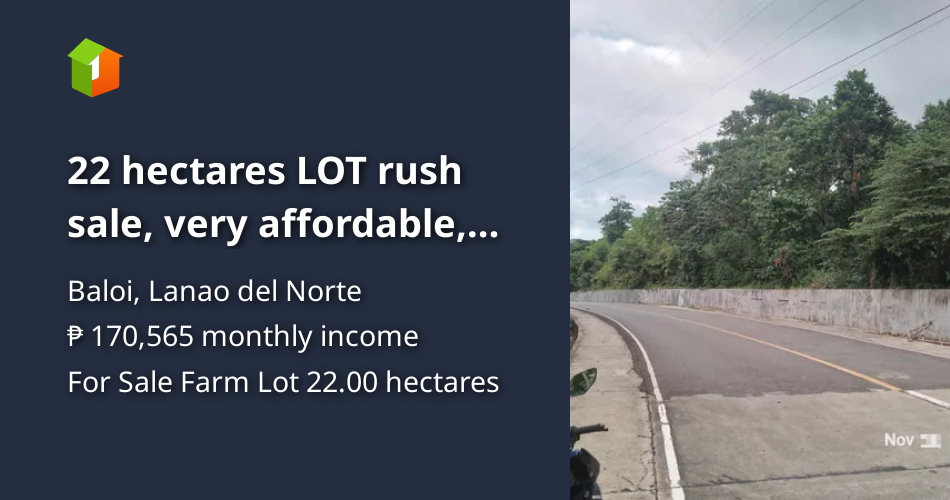 22 hectares LOT rush sale, very affordable, complete with all ownership ...