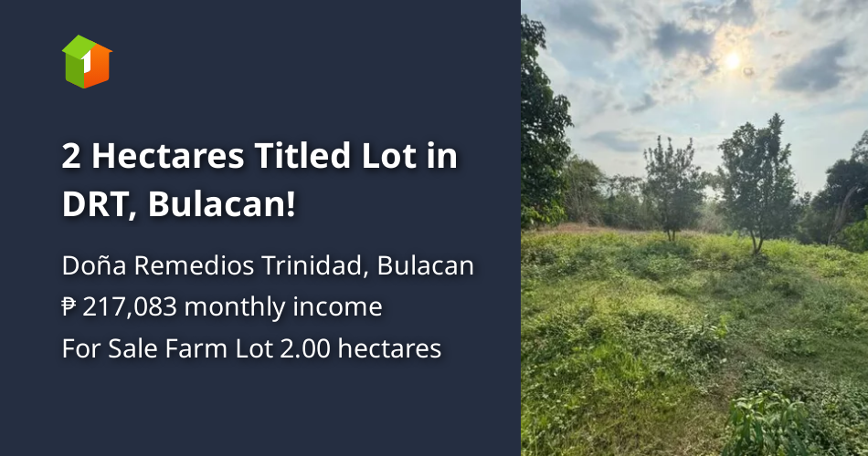 2 Hectares Titled Lot in DRT, Bulacan! [Lots 🚜] (November 2025) in Doña ...