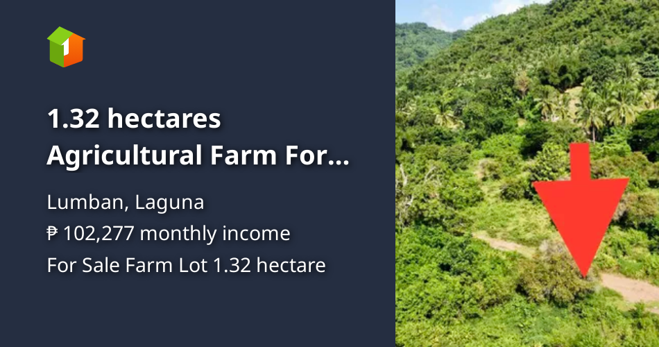 1.32 hectares Agricultural Farm For Sale in Lumban Laguna [Lots 🚜 ...