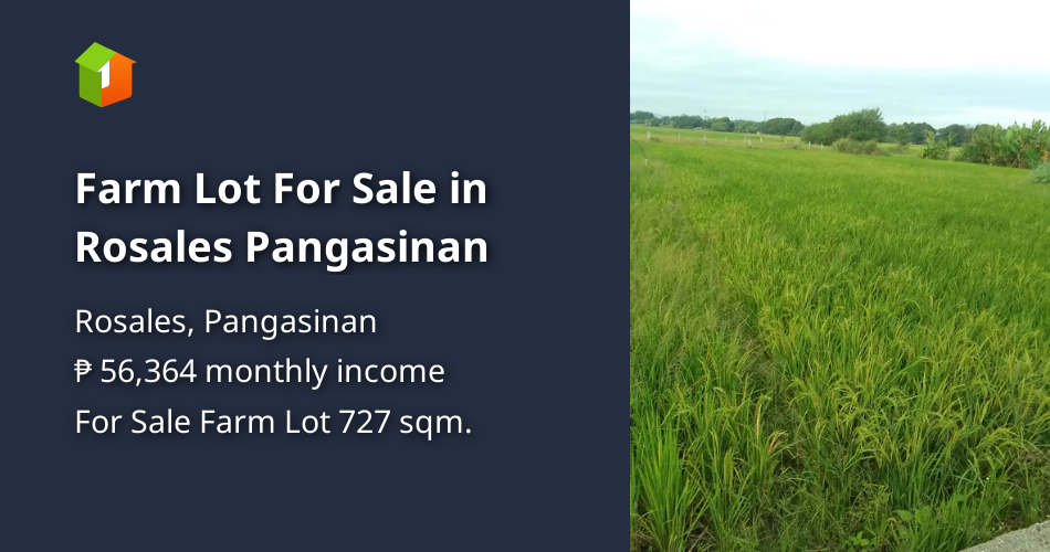 Farm Lot For Sale in Rosales Pangasinan [Lots 🚜] (February 2025) in ...