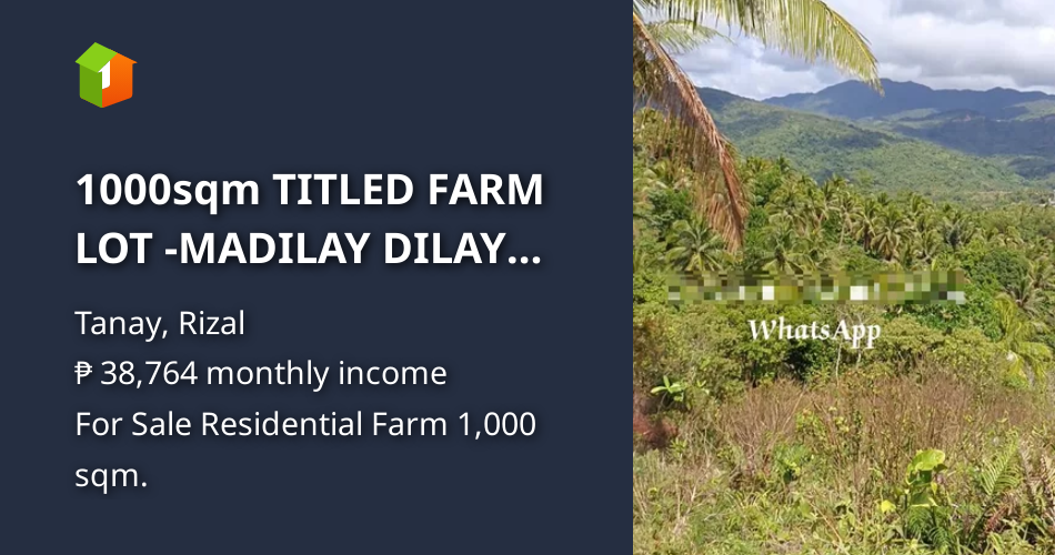 1000sqm TITLED FARM LOT -MADILAY DILAY TANAY RIZAL [Lots 🚜] (September ...