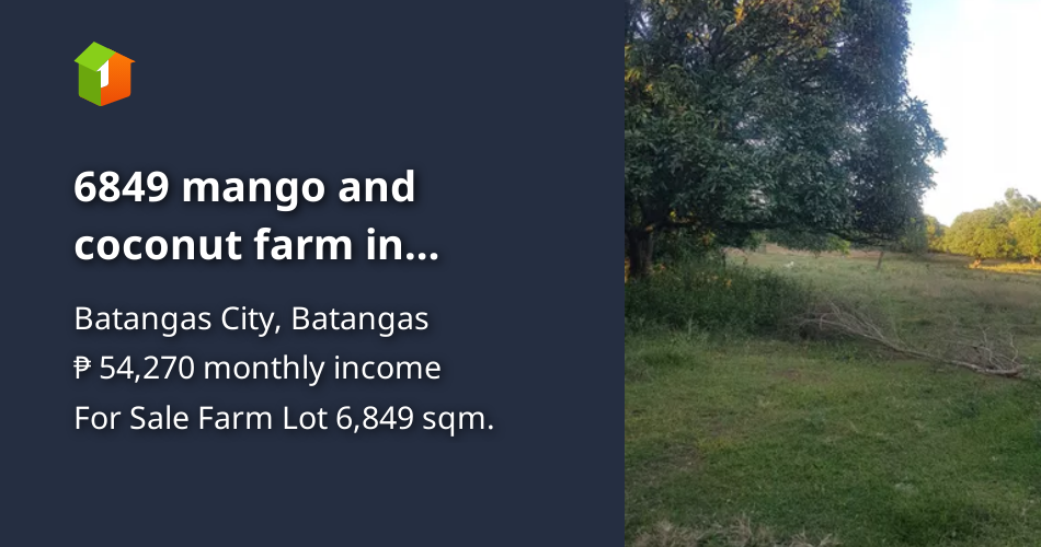 6849 mango and coconut farm in batangas 20mins fr nationa hiway [Lots 🚜 ...