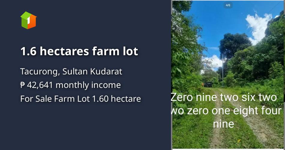 1.6 hectares farm lot [Lots 🚜] (May 2024) in Tacurong, Sultan Kudarat ...