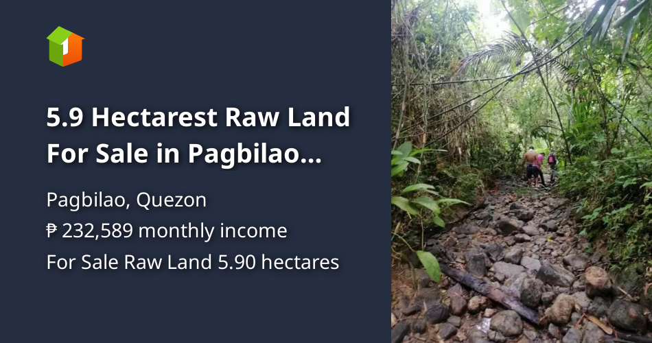 5.9 Hectarest Raw Land For Sale in Pagbilao Quezon [Lots 🚜] (June 2023 ...