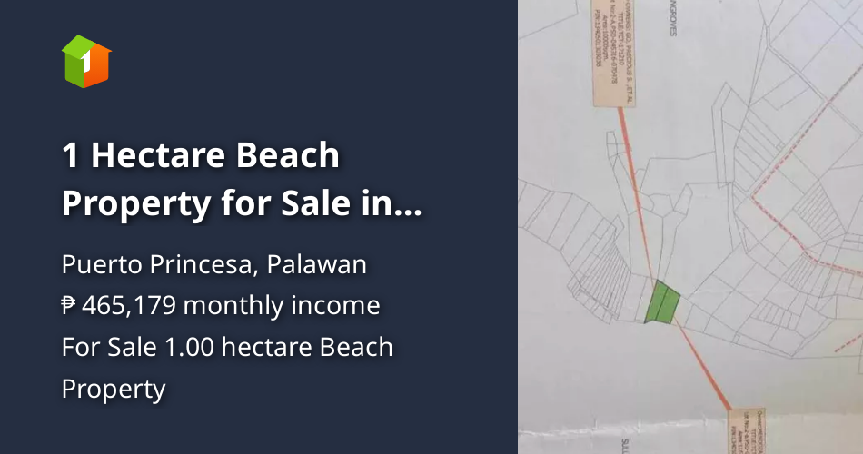 1 Hectare Beach Property for Sale in Puerto Princesa City Palawan ...