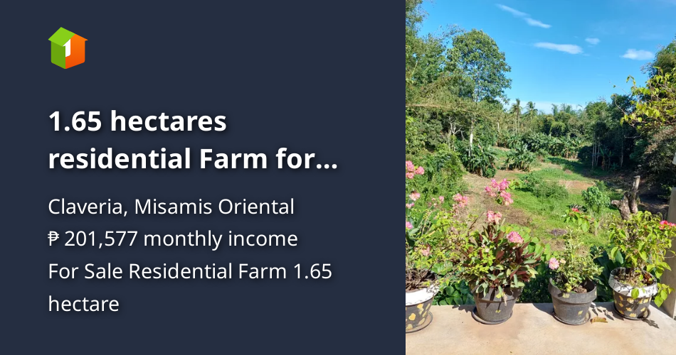 1.65 hectares residential Farm for sale in Claveria Misamis Oriental ...