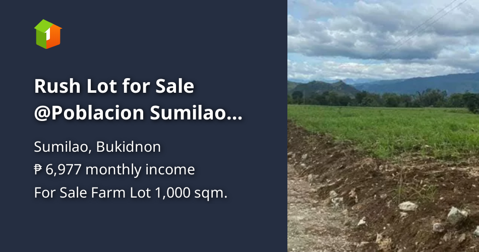 Rush Lot for Sale @Poblacion Sumilao 1000sqm 450k only [Lots 🚜 ...