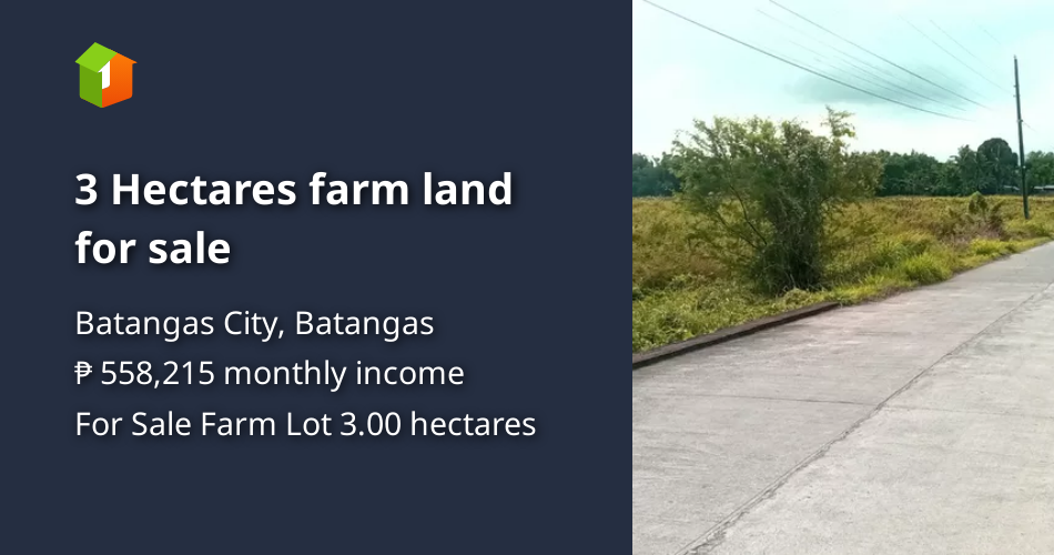 3 Hectares farm land for sale [Lots 🚜] (April 2024) in Batangas City ...