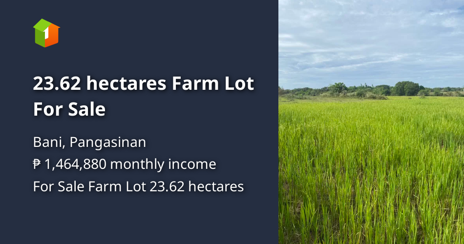 23.62 hectares Farm Lot For Sale [Lots 🚜] (June 2025) in Bani ...