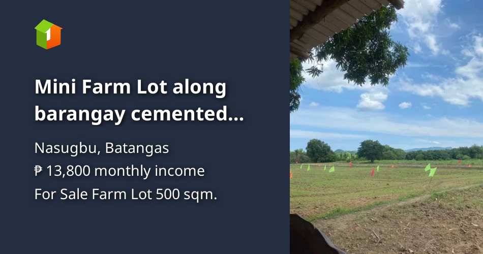 Mini Farm Lot along barangay cemented Road [Lots 🚜] (July 2024) in ...