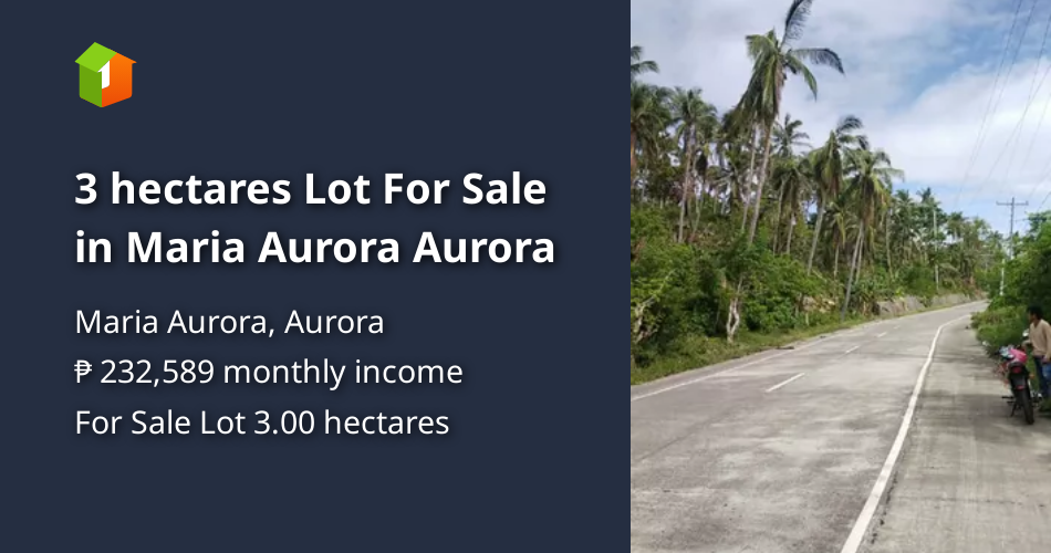 3 hectares Lot For Sale in Maria Aurora Aurora [Lots 🚜] (February 2026 ...