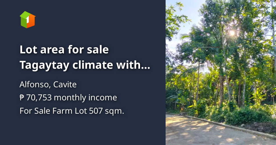 Lot area for sale Tagaytay climate with fruit bearing trees Located at Cavite [Lots 🚜] (May 2025 ...