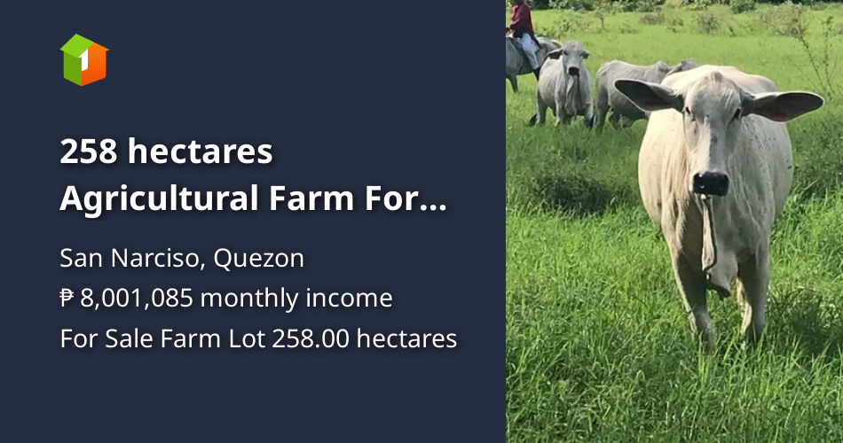 258 hectares Agricultural Farm For Sale in San Narciso Quezon [Lots 🚜 ...