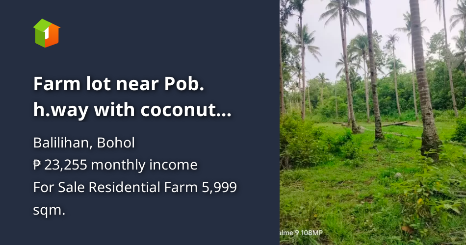 Farm lot near Pob. h.way with coconut near Tagbilaran City 250/sqm ...