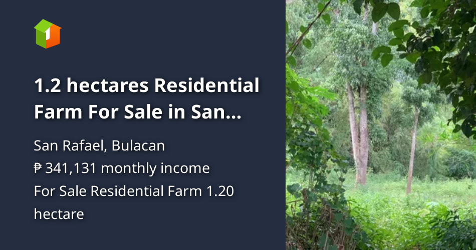 1.2 hectares Residential Farm For Sale in San Rafael Bulacan [Lots 🚜 ...
