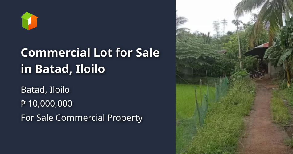 Commercial Lot for Sale in Batad, Iloilo [Commercial Properties 🏭 ...