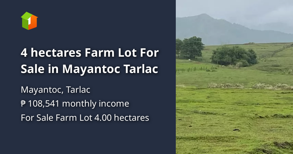 4 hectares Farm Lot For Sale in Mayantoc Tarlac [Lots 🚜] (March 2026 ...