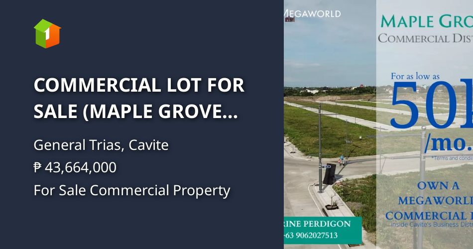 COMMERCIAL LOT FOR SALE (MAPLE GROVE TOWNSHIP IN CAVITE) [Commercial ...