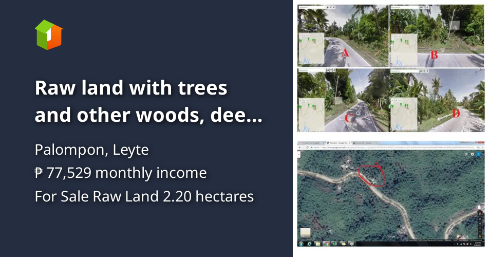 Raw land with trees and other woods, deep at the back, along main road ...