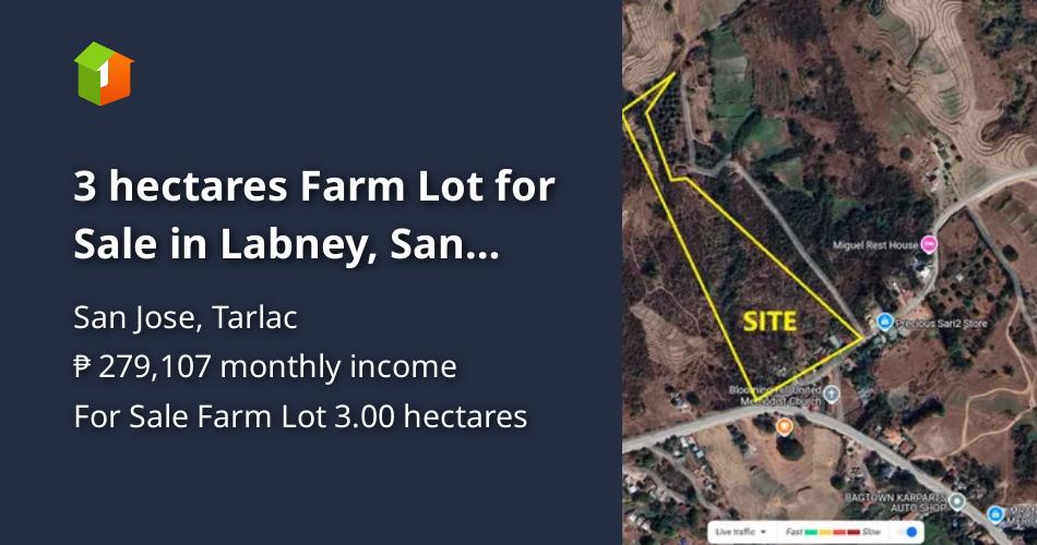 3 hectares Farm Lot for Sale in Labney, San Jose, Tarlac [Lots 🚜 ...