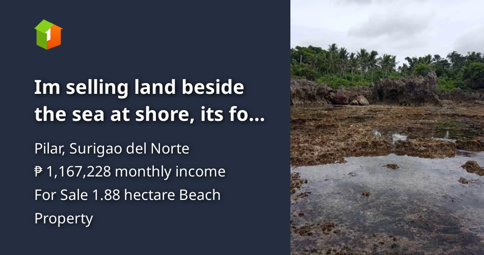 Im selling land beside the sea at shore, its for all kinds of purpose ...