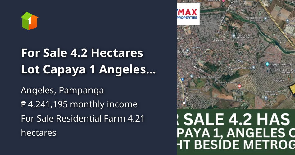 For Sale 4.2 Hectares Lot Capaya 1 Angeles City Beside Metrogate [Lots ...