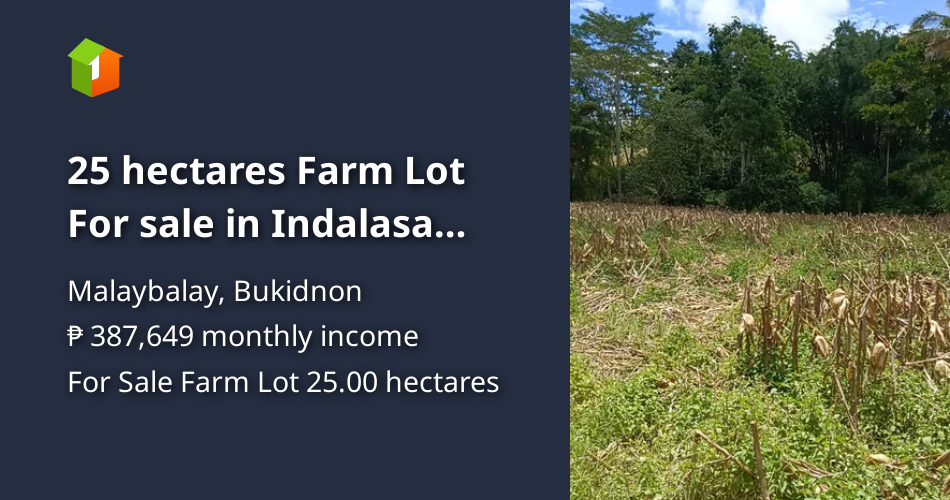 25 hectares Farm Lot For sale in Indalasa Malaybalay Bukidnon [Lots 🚜 ...