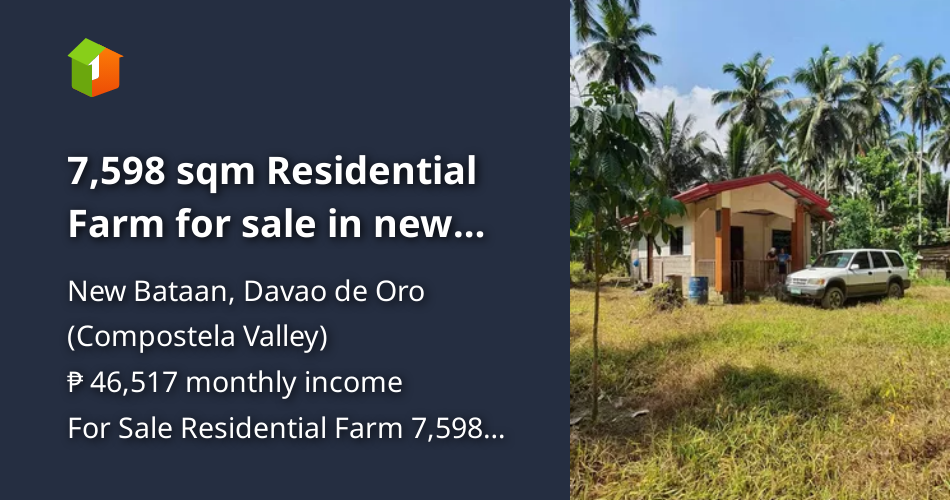 7,598 sqm Residential Farm for sale in new bataan Davao de oro ...