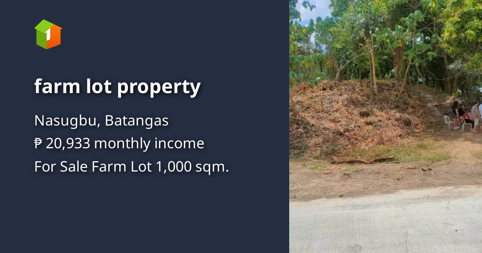 Farm lot property [Lots 🚜] (September 2023) in Nasugbu, Batangas for sale
