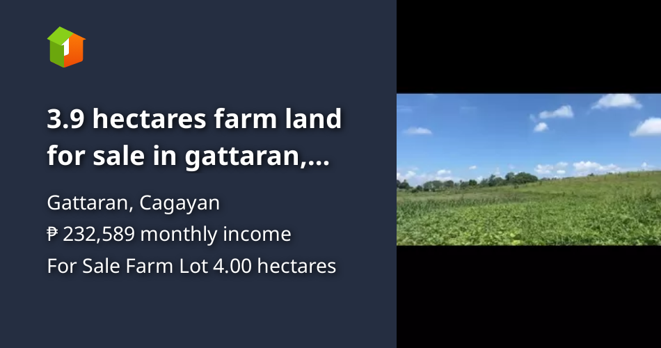3.9 hectares farm land for sale in gattaran, Cagayan 15m with title ...