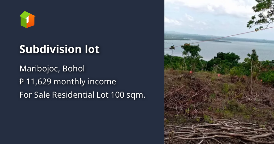 Subdivision lot [Lots 🚜] (November 2023) in Maribojoc, Bohol for sale