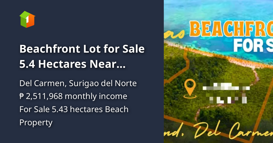 Beachfront Lot for Sale 5.4 Hectares Near Sugba Lagoon, Caub Island ...