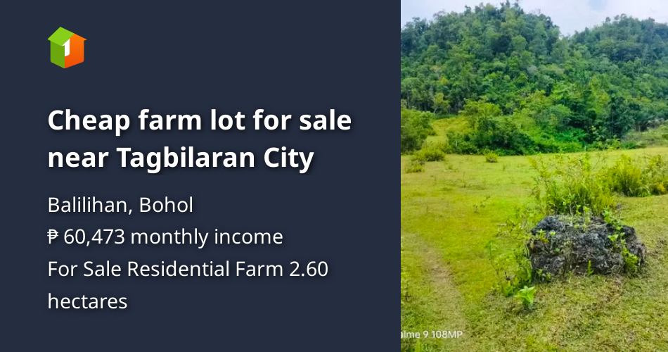 Cheap farm lot for sale near Tagbilaran City [Lots 🚜] (October 2023) in ...