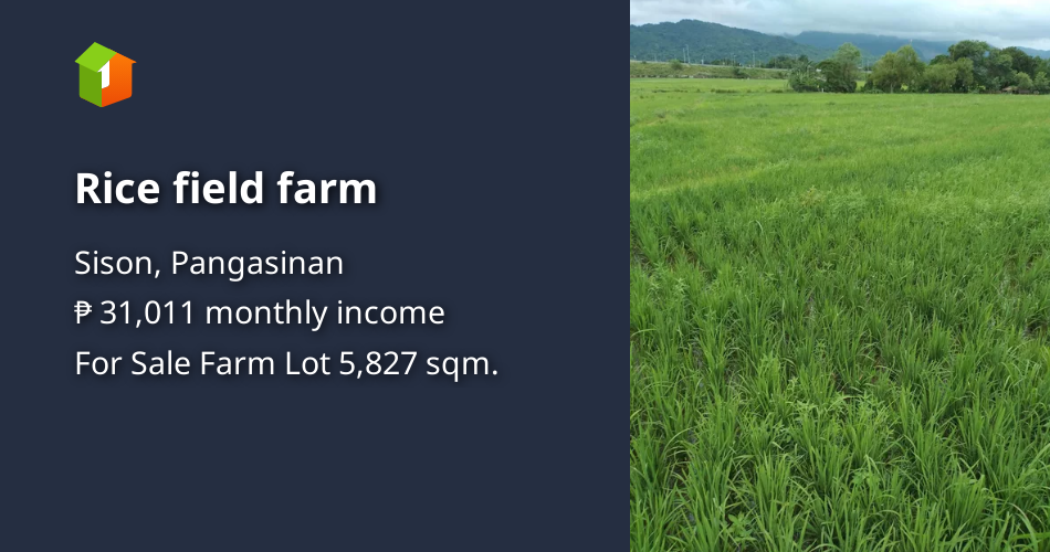 Rice field farm [Lots 🚜] (November 2023) in Sison, Pangasinan for sale ...