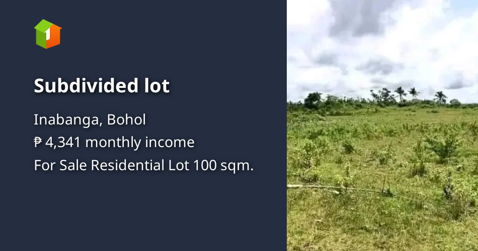Subdivided lot [Lots 🚜] (July 2023) in Inabanga, Bohol for sale