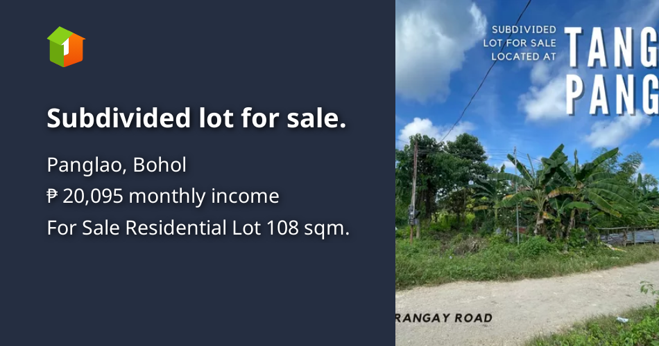 Subdivided lot for sale. [Lots 🚜] (October 2022) in Panglao, Bohol for sale