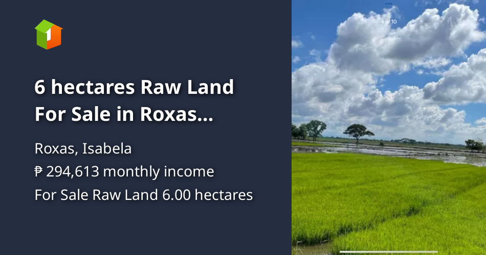 6 hectares Raw Land For Sale in Roxas Isabela [Lots 🚜] (February 2025 ...