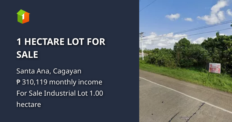 1 HECTARE LOT FOR SALE [Lots 🚜] (April 2025) in Santa Ana, Cagayan for ...