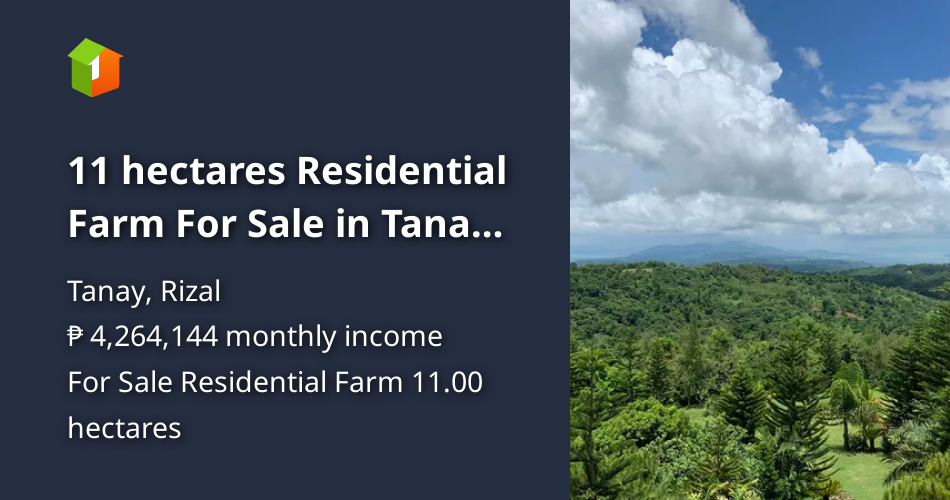 11 hectares Residential Farm For Sale in Tanay Rizal [Lots 🚜] (April ...