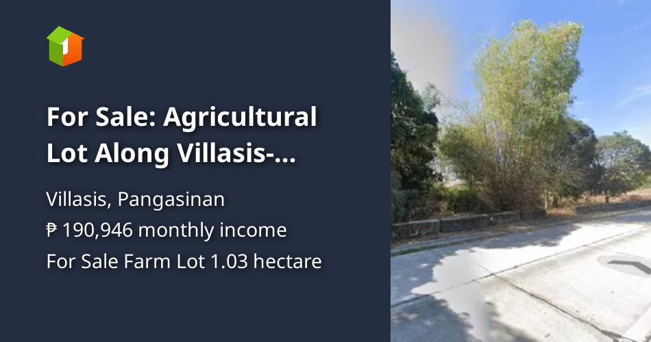 For Sale: Agricultural Lot Along Villasis-Malasiqui National Highway ...