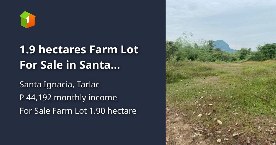 1.9 hectares Farm Lot For Sale in Santa Ignacia Tarlac [Lots 🚜] (May ...