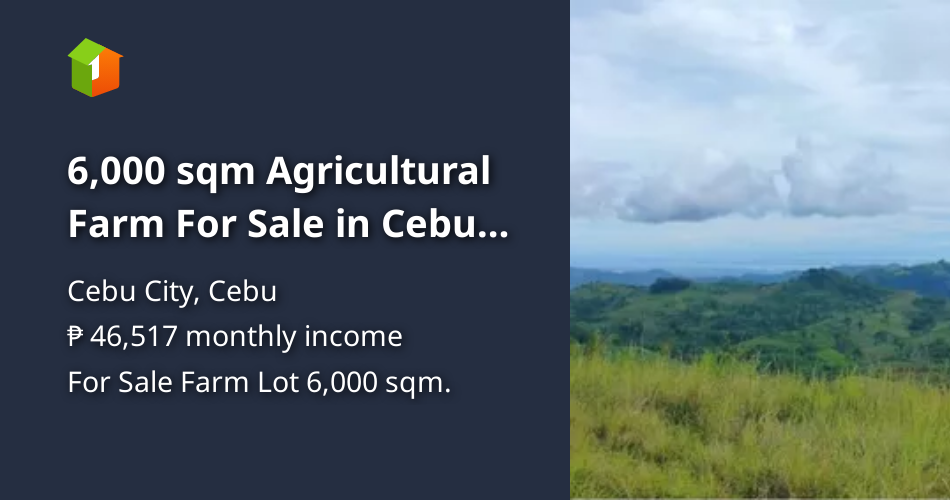 6,000 sqm Agricultural Farm For Sale in Cebu City Cebu [Lots 🚜 ...